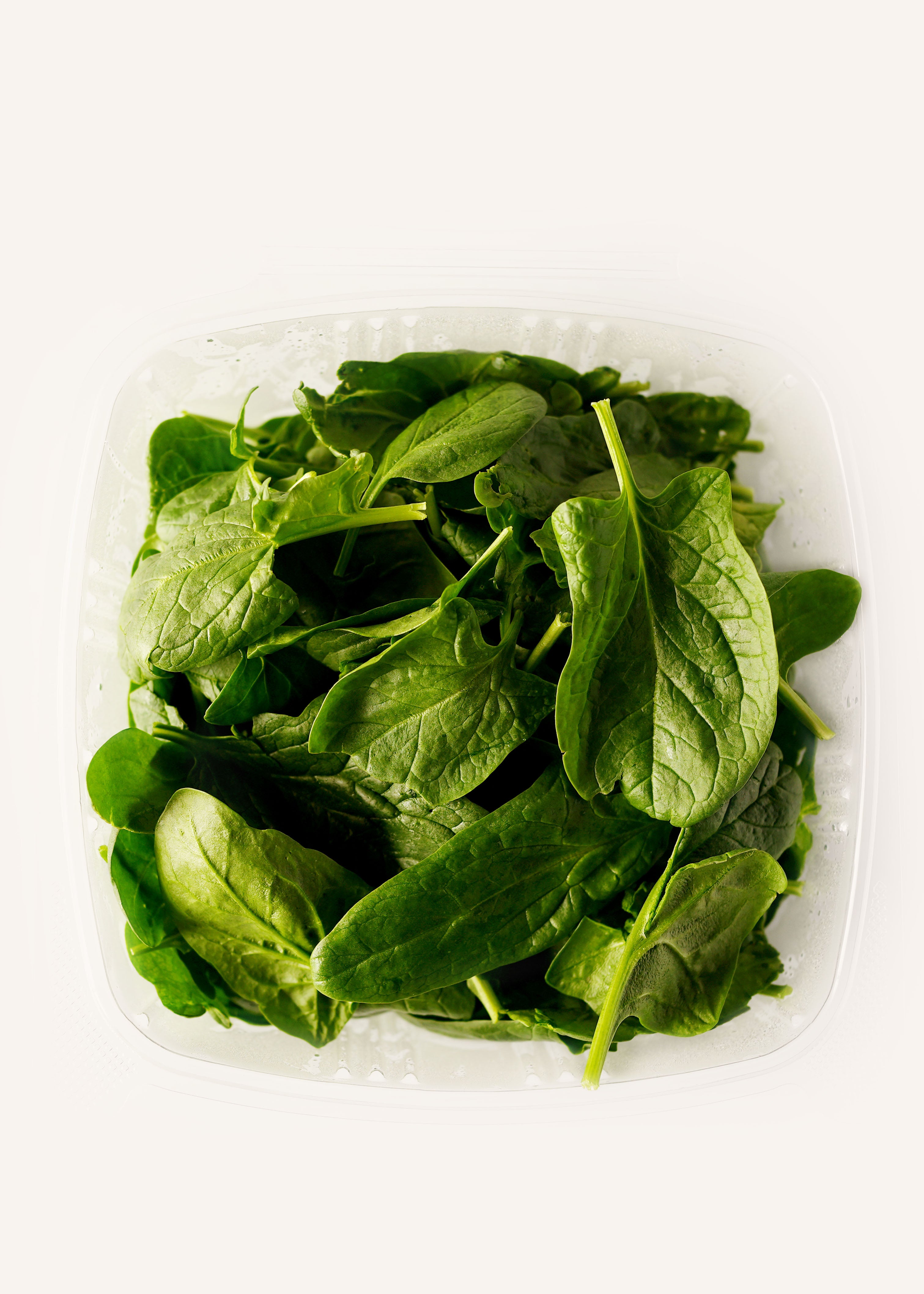 Spinach – Youngs Farm