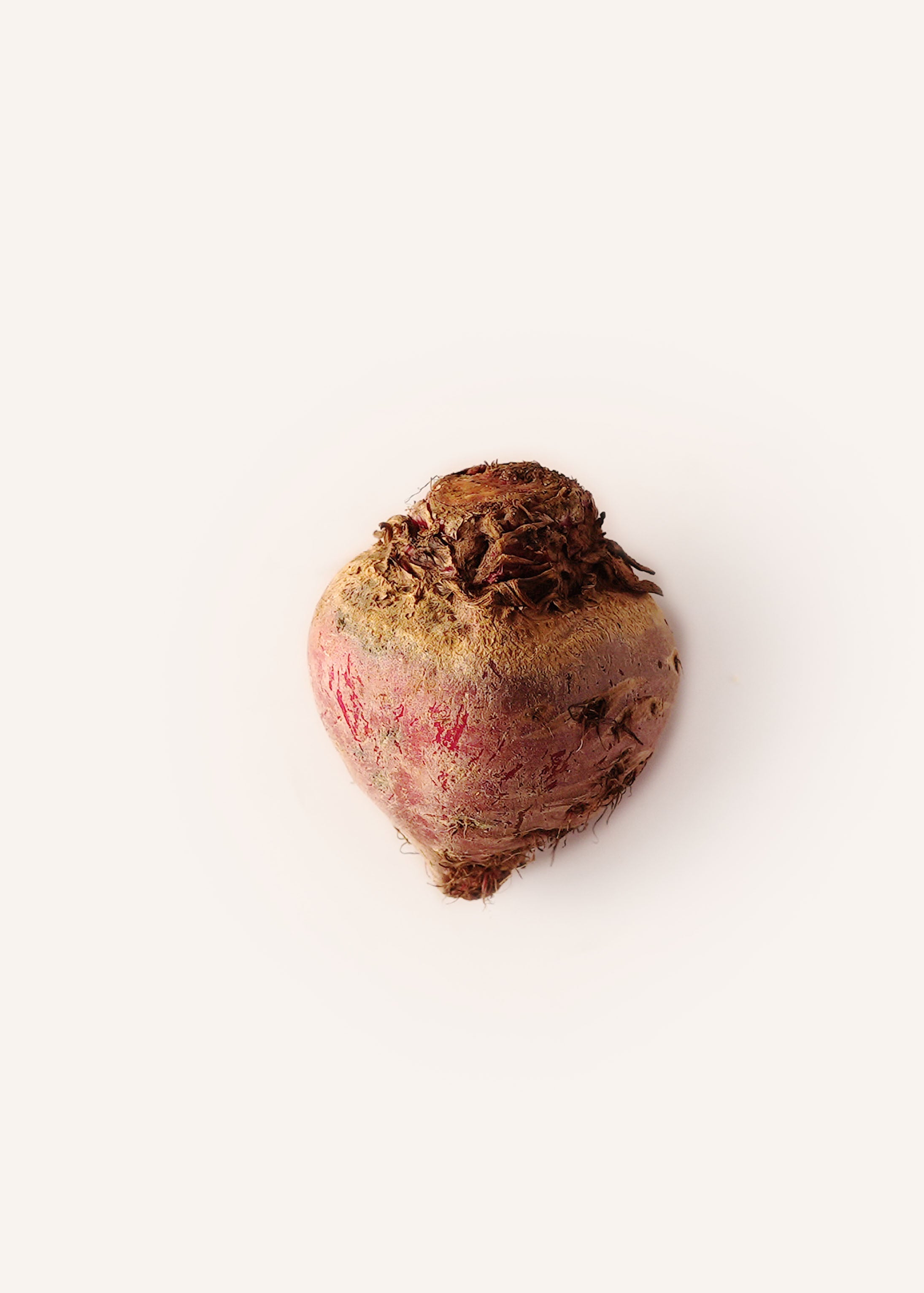 Loose Beets – Youngs Farm